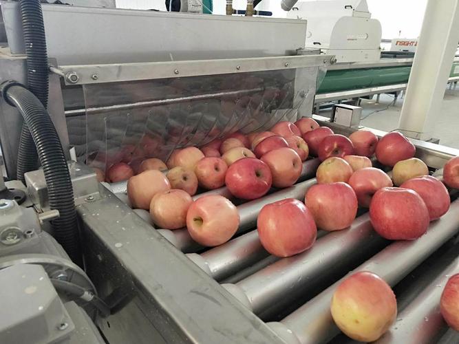 苹果AI工业ccd视觉智能质检揭秘：科技如何守护每一口香甜 - 赛博视控